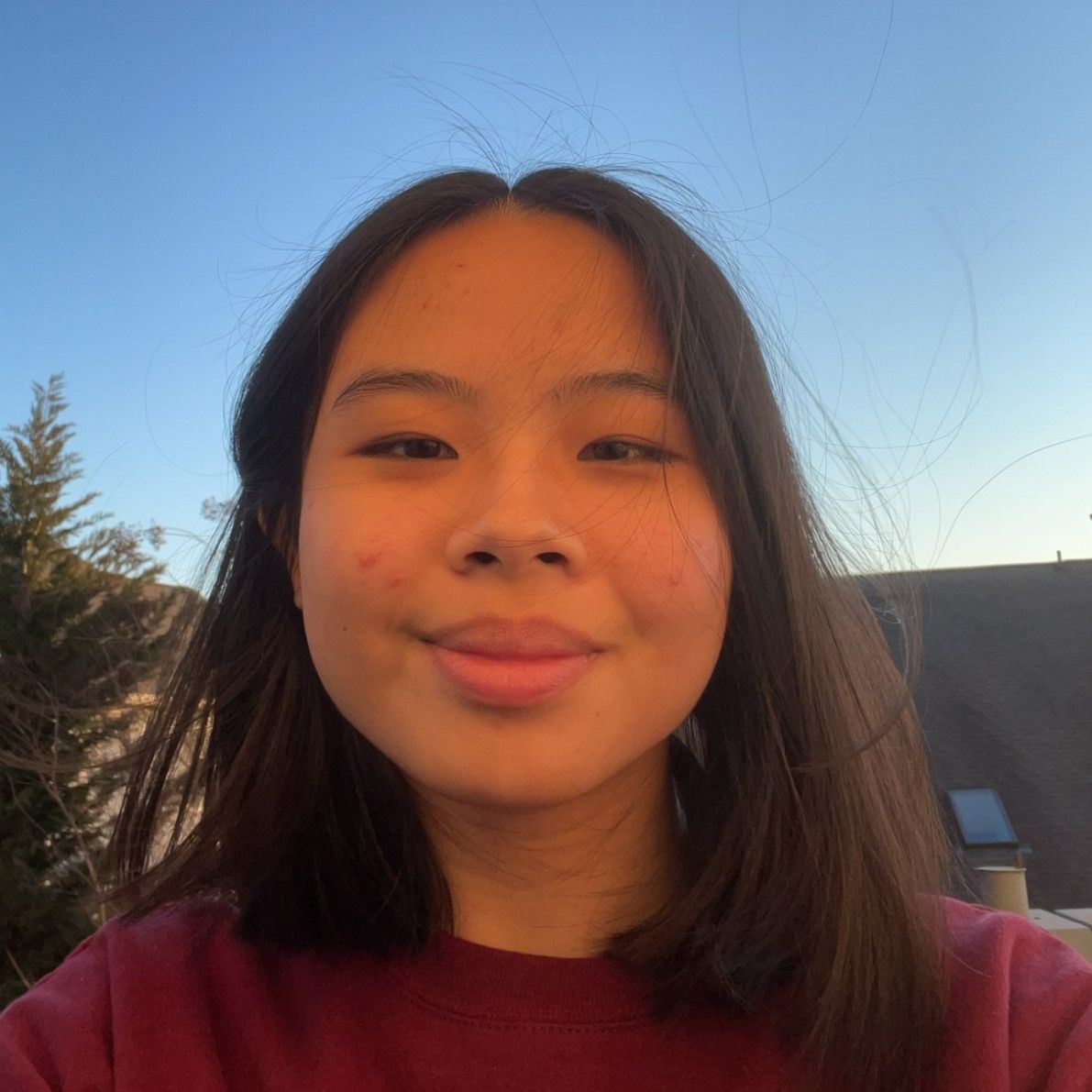 Vickie Private Tutor from Rockville, US - $25/hr